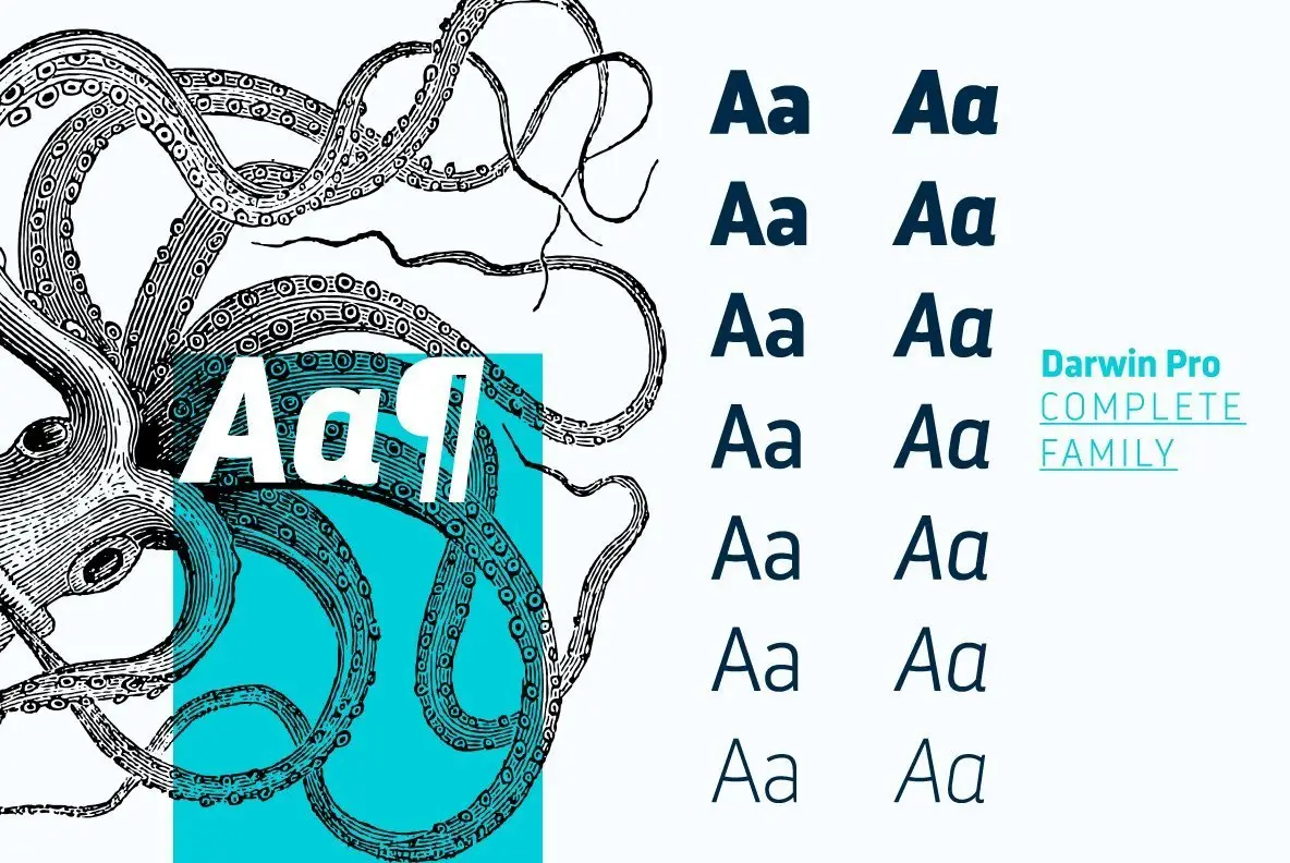 Darwin Pro Font - FontPath