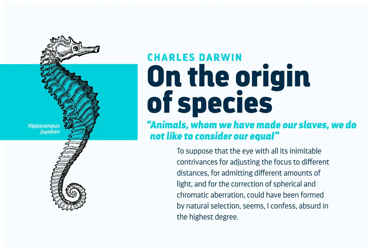 Darwin Pro Font - FontPath