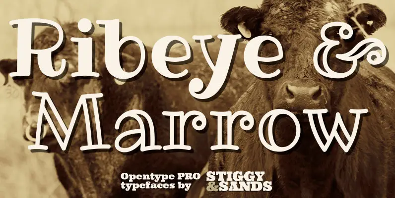 Stiggy & Sands - YouWorkForThem