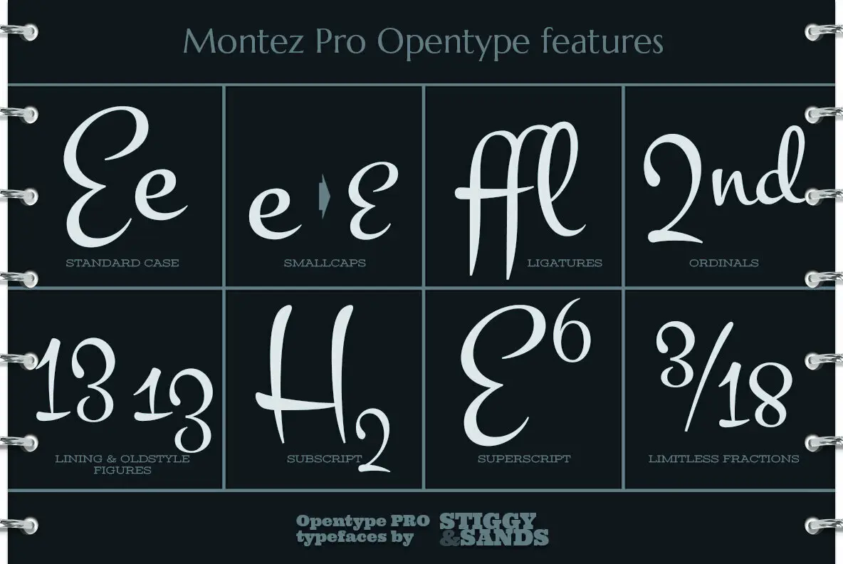 Montez Pro Font - YouWorkForThem
