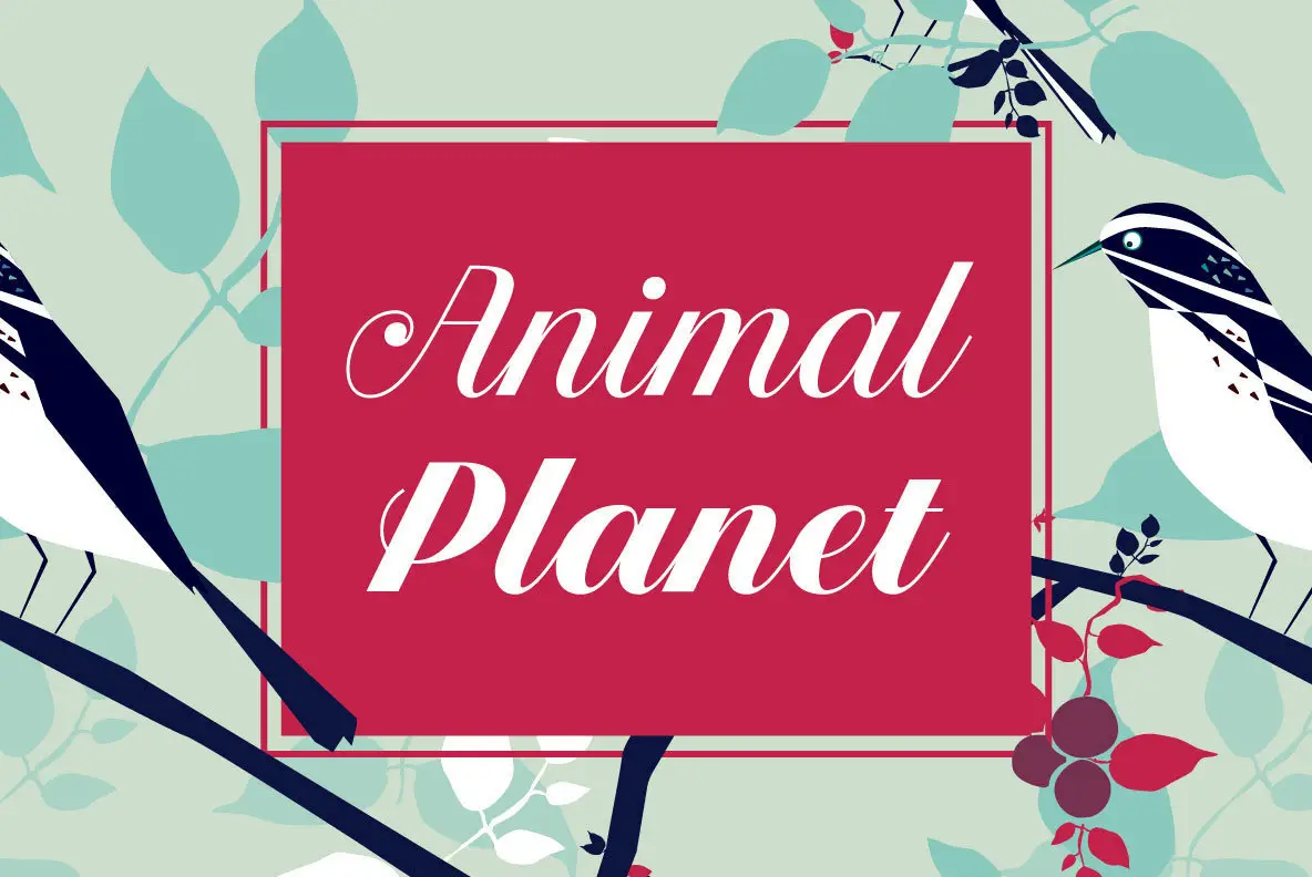 Estampa Script Font - FontPath