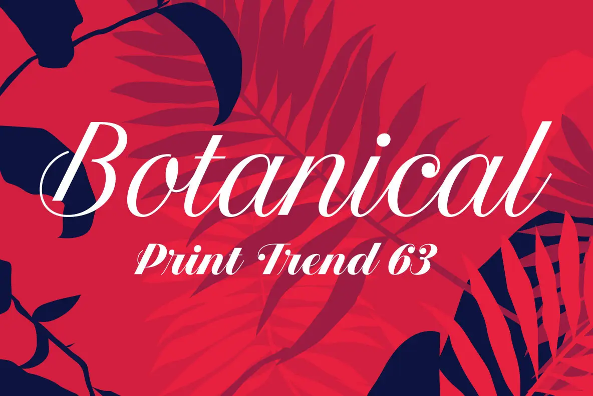 Estampa Script Font - FontPath