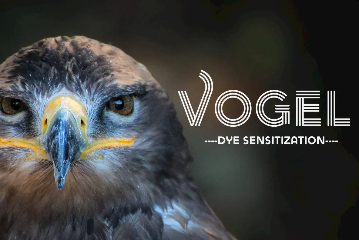 Arya Rounded Font - FontPath