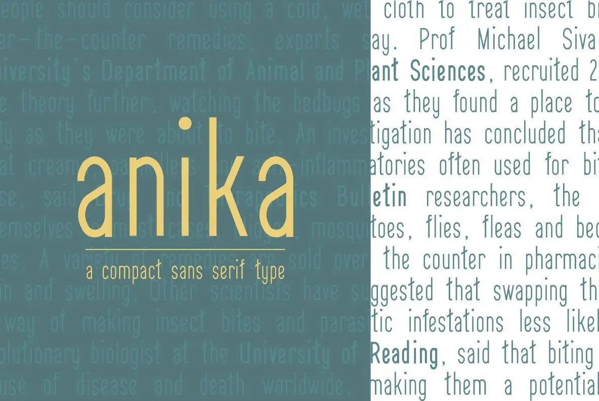 Anika Font - YouWorkForThem