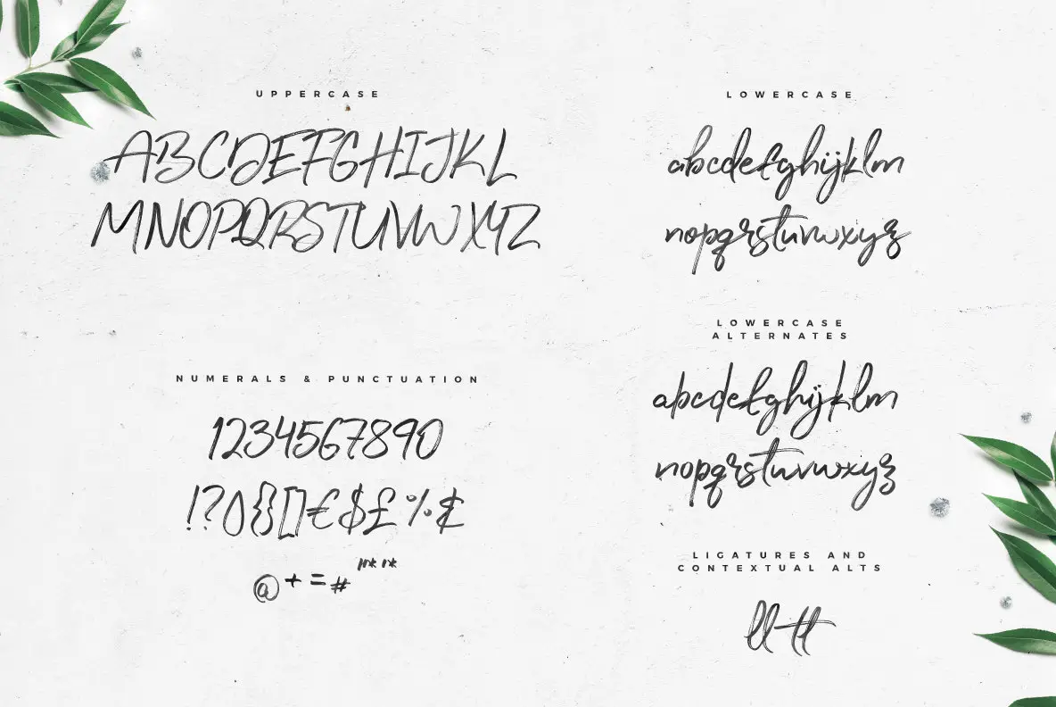 Perfect Sunset Font - YouWorkForThem