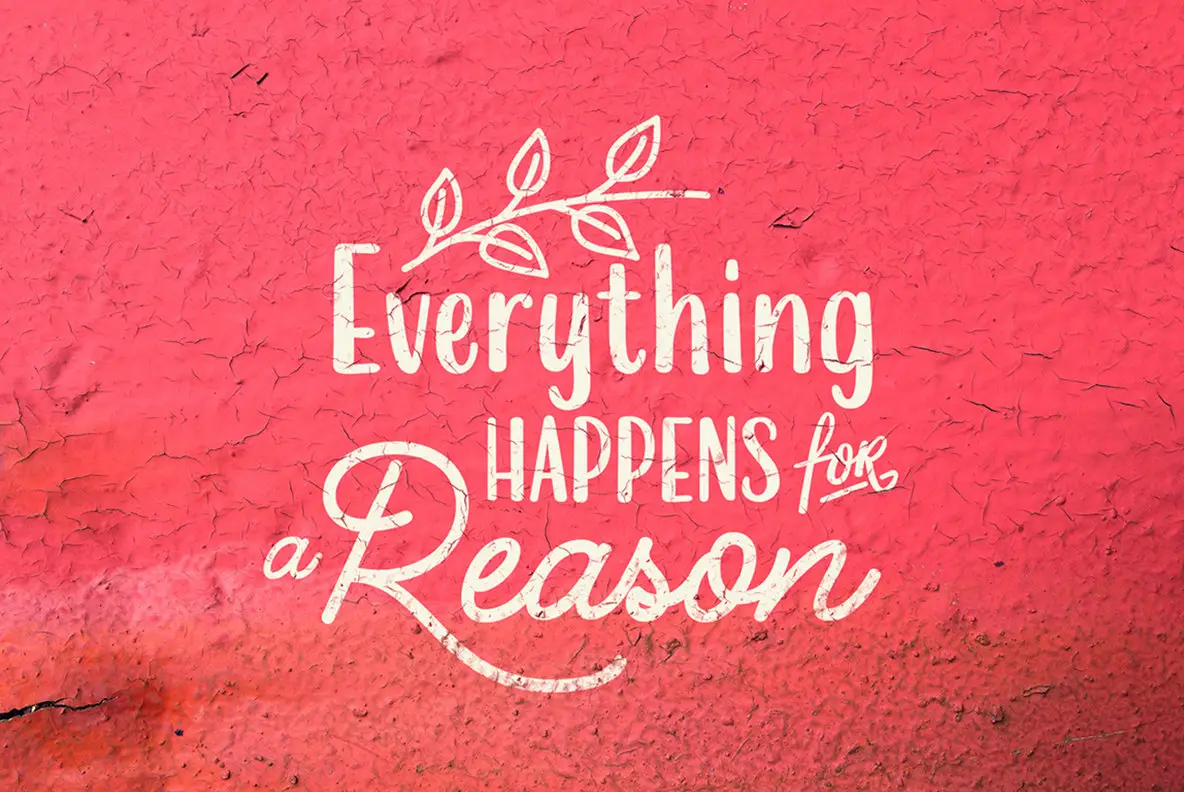 Delicy Font - YouWorkForThem