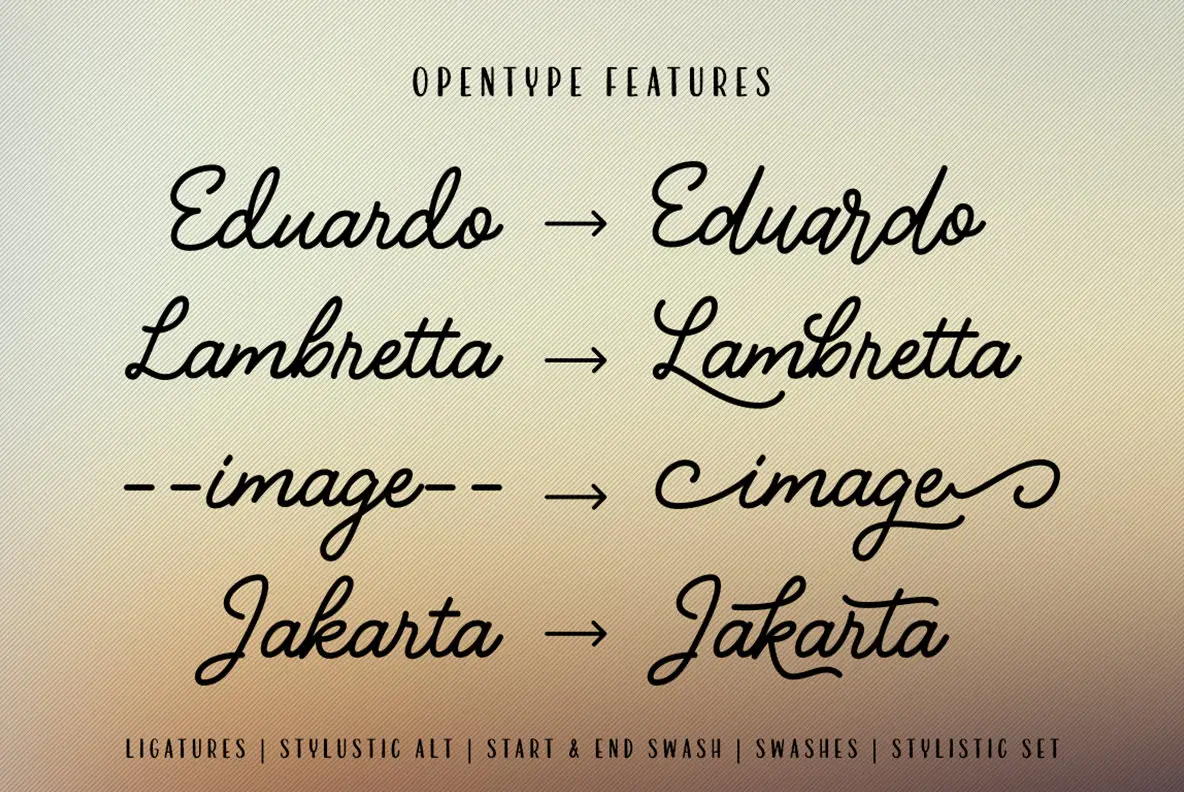 Delicy Font - YouWorkForThem