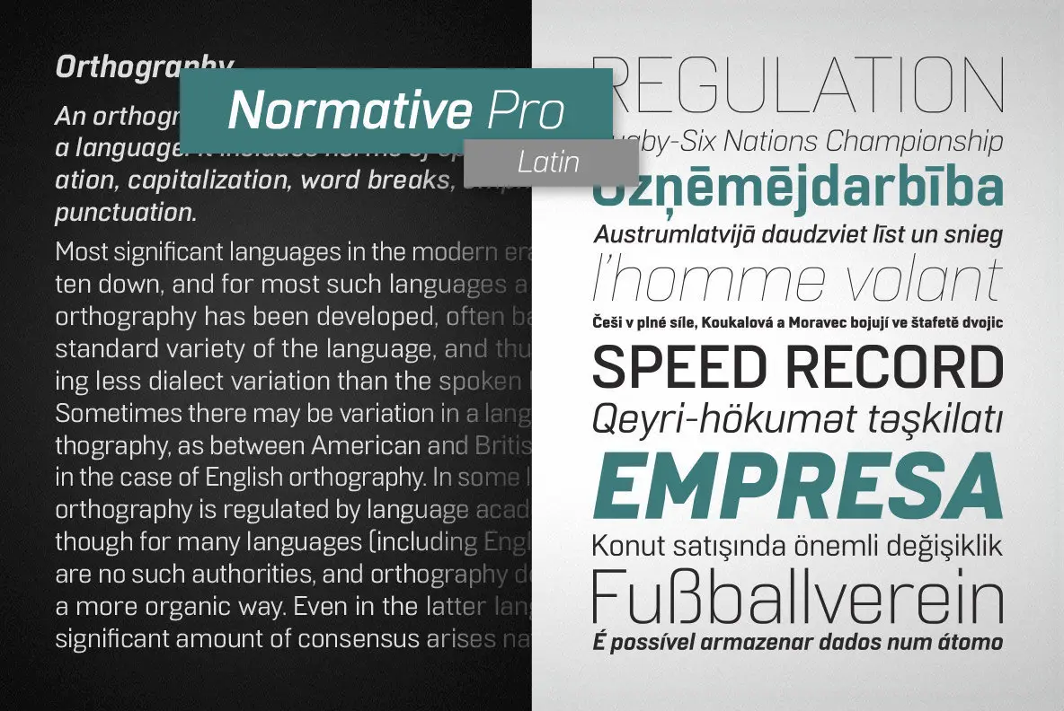 Normative Pro Font - YouWorkForThem