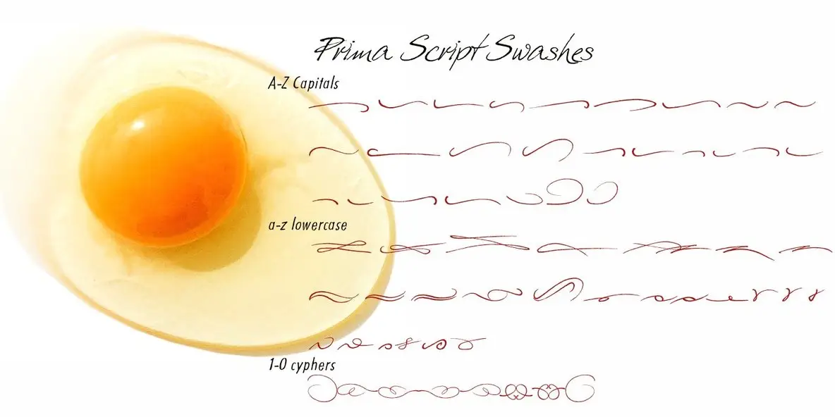 Prima Script Font - FontPath