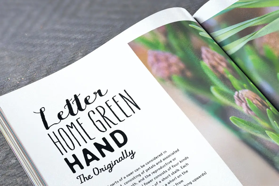 Flowy Font - YouWorkForThem