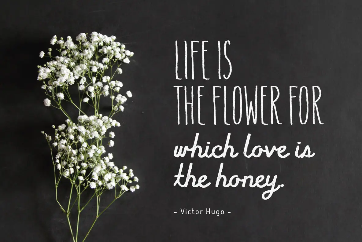 Flowy Font - YouWorkForThem