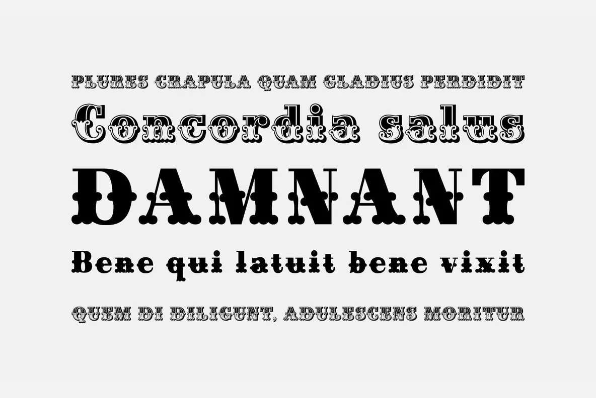 Maison Luxe Font - FontPath