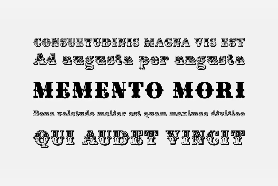 Maison Luxe Font - FontPath