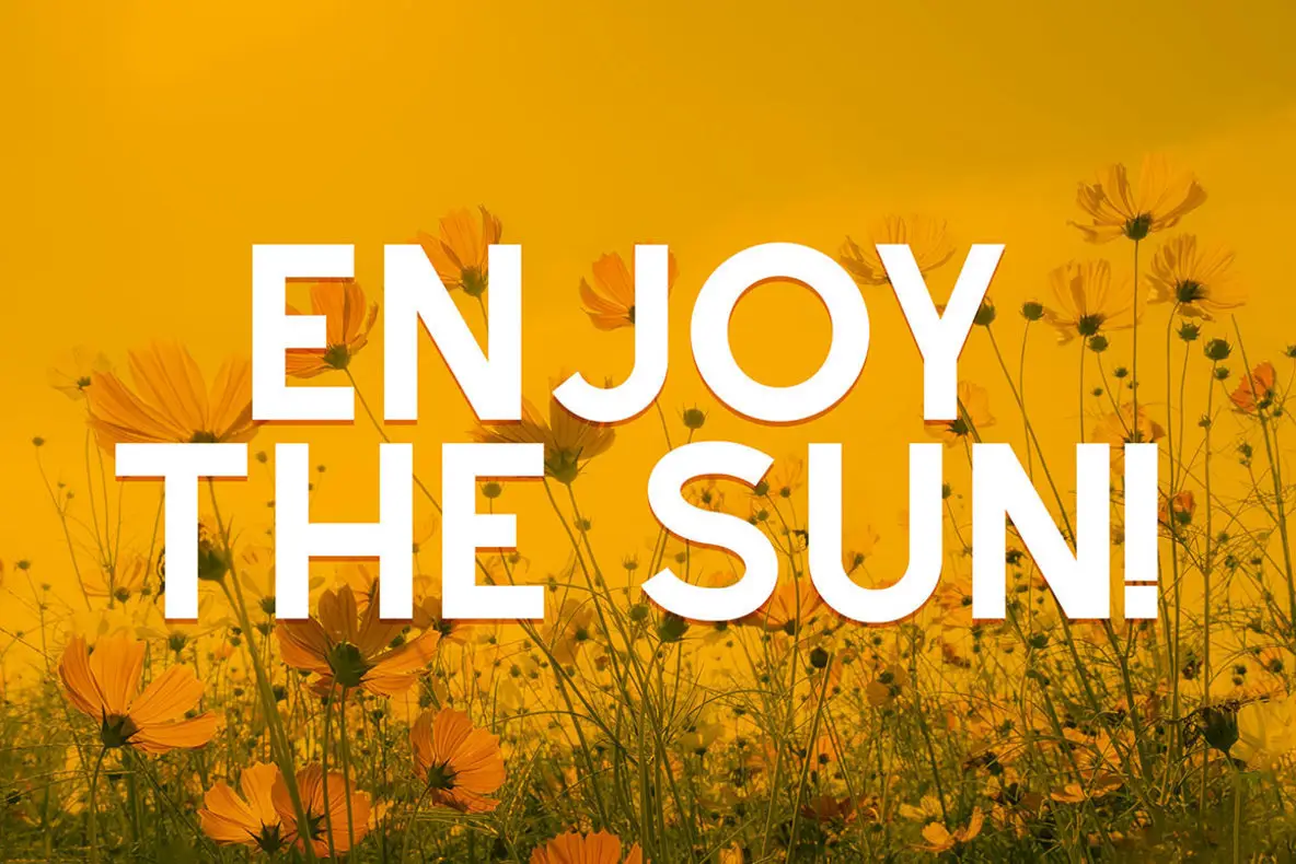 Alyssum Font - YouWorkForThem