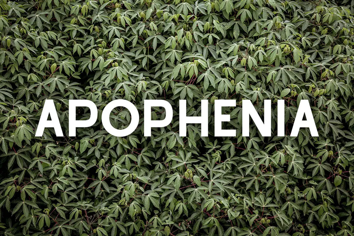 Alyssum Font - YouWorkForThem