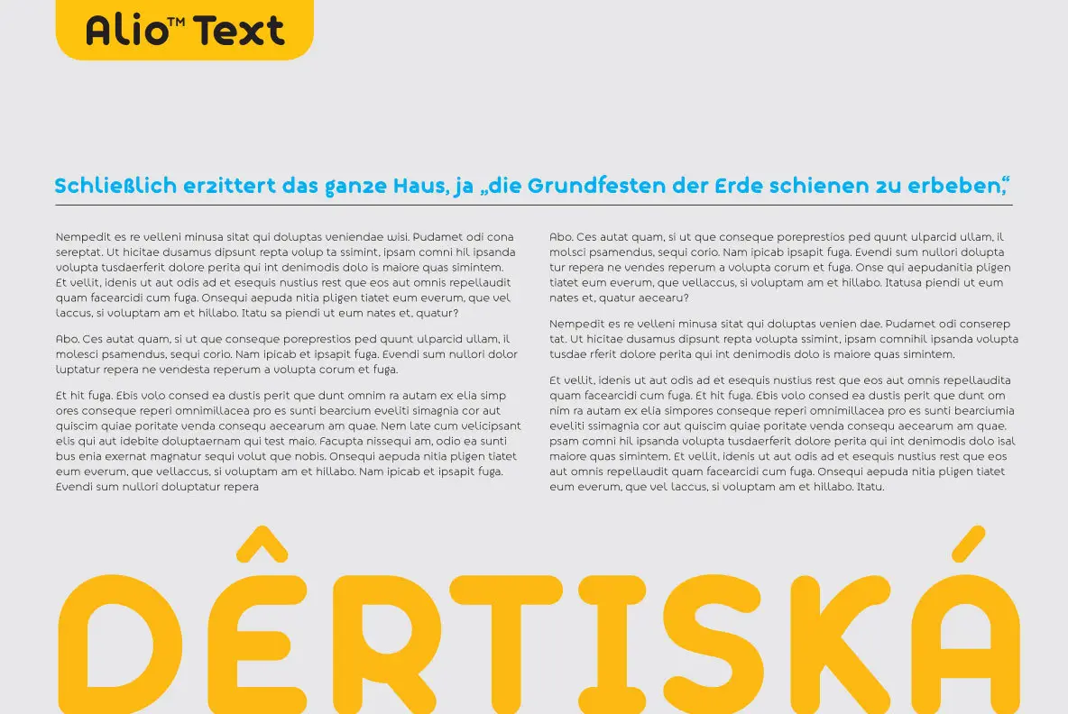 Alio Text Font - YouWorkForThem