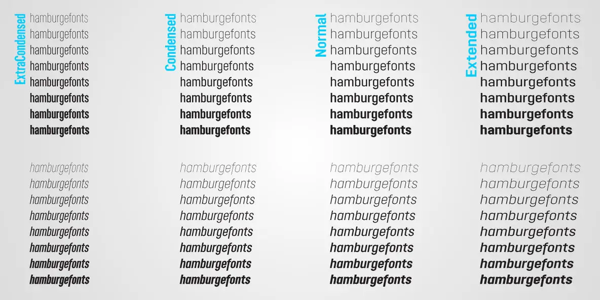 Opinion Pro Normal Font - YouWorkForThem