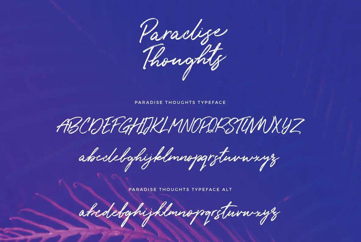 Paradise Thoughts Font - YouWorkForThem