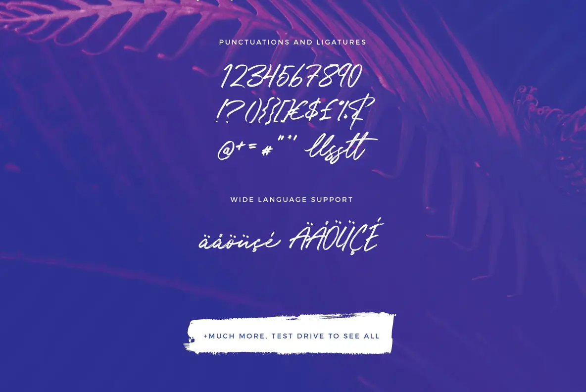 Paradise Thoughts Font - YouWorkForThem