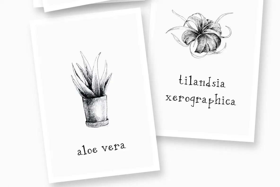 OXYA Font - FontPath