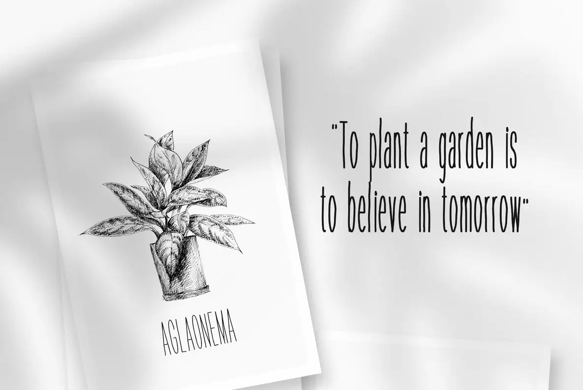 Luka Pro Font - YouWorkForThem