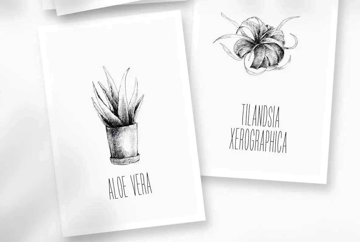 Luka Pro Font - FontPath