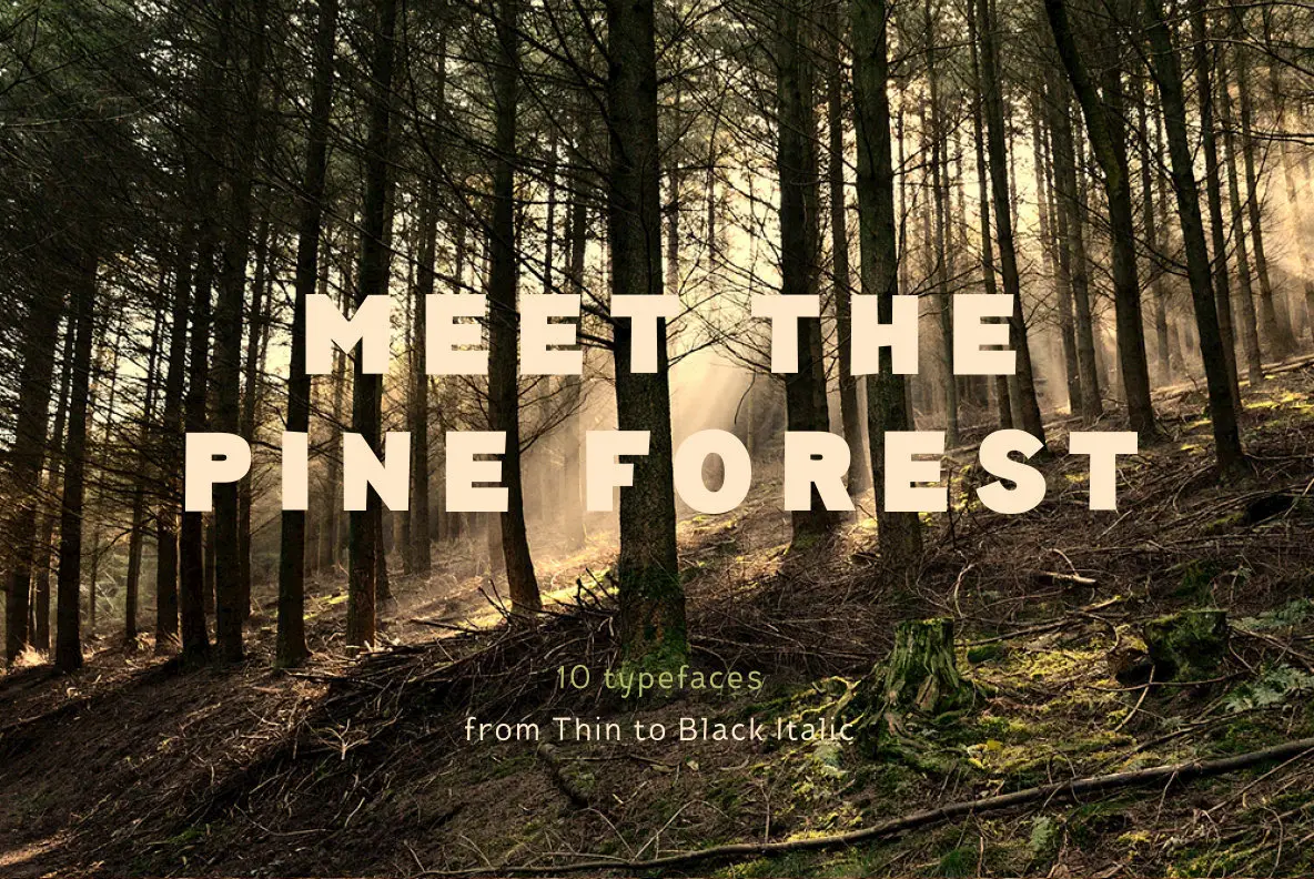 Pines Font - FontPath