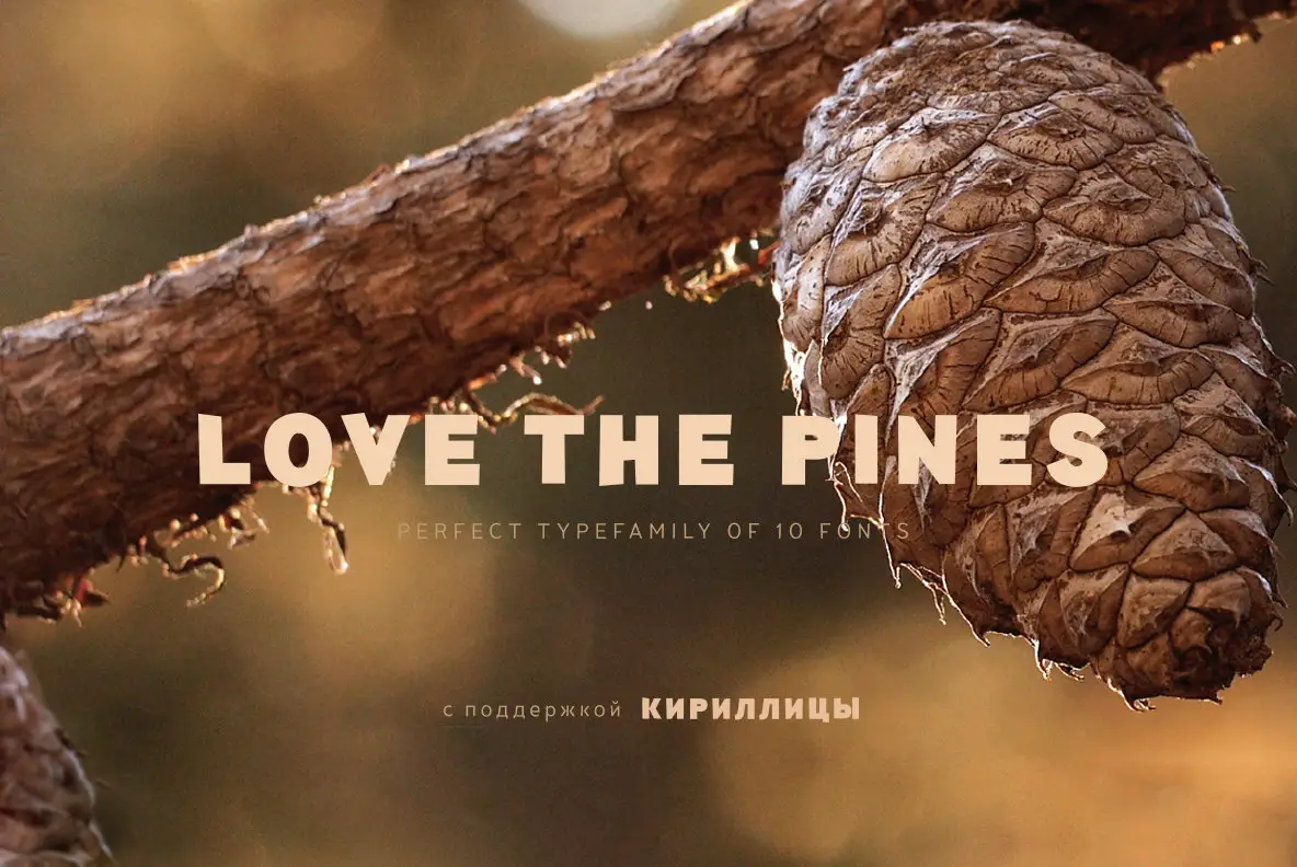 Pines Font - FontPath
