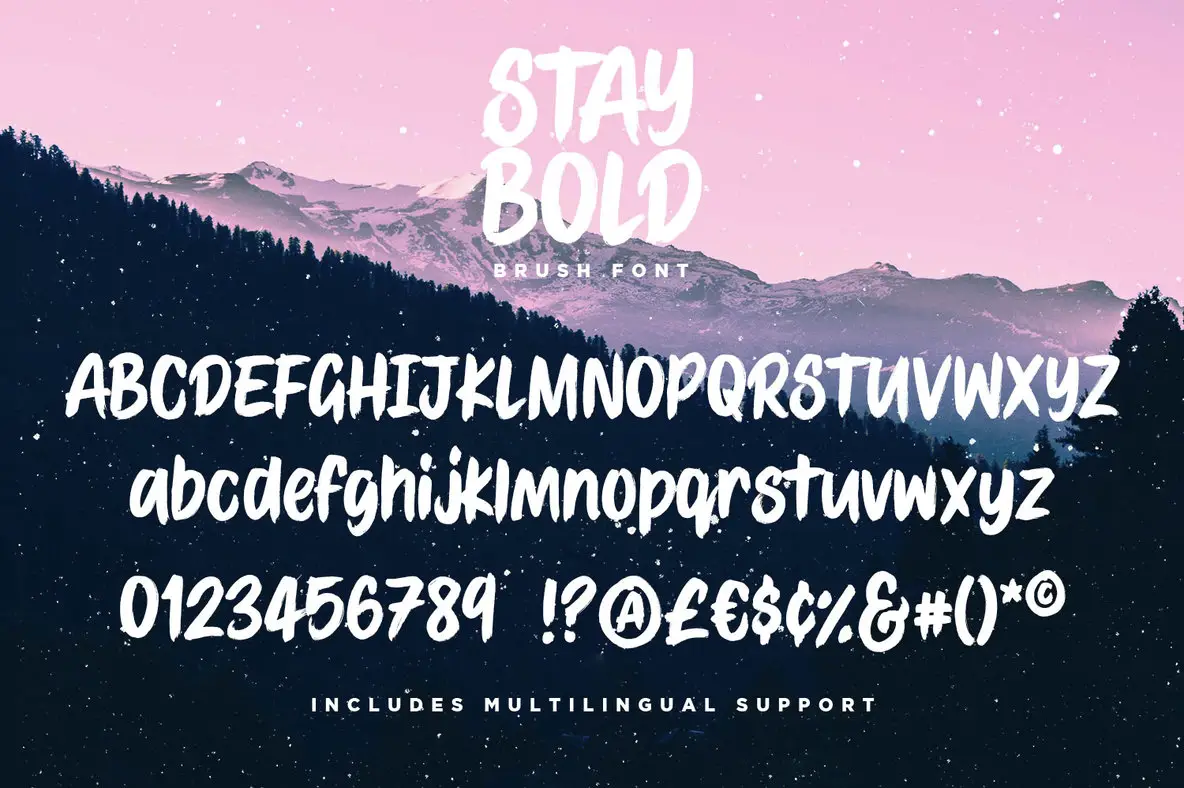 Stay Bold Font - YouWorkForThem
