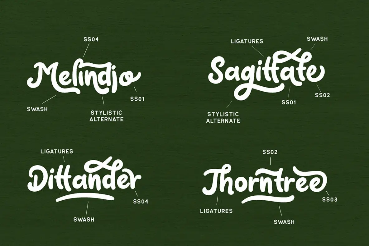 Claytonia Bold Script Font - FontPath