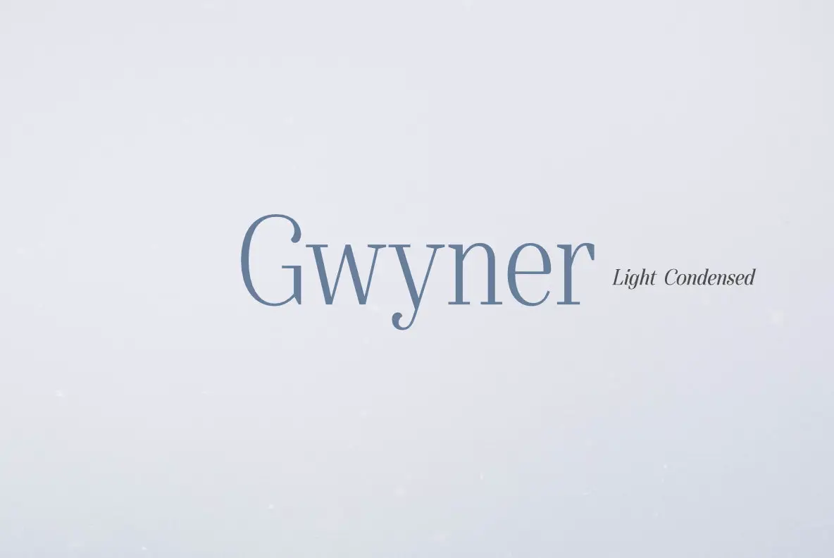 Gwyner Font - YouWorkForThem