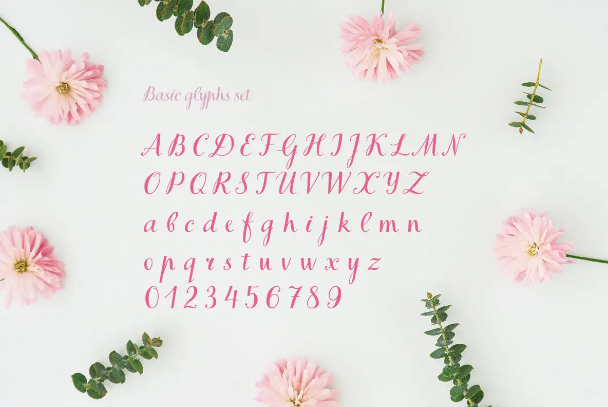 Books Script Font - FontPath