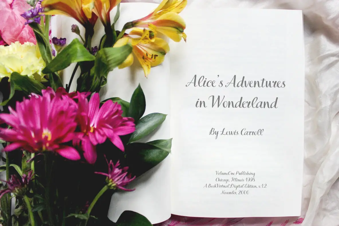 Books Script Font - YouWorkForThem