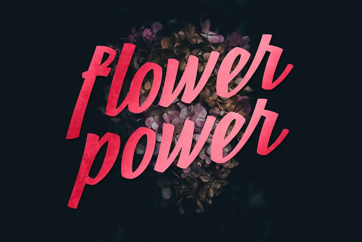 Poppy JT Font - FontPath