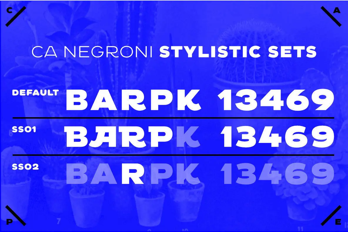 CA Negroni Font - YouWorkForThem