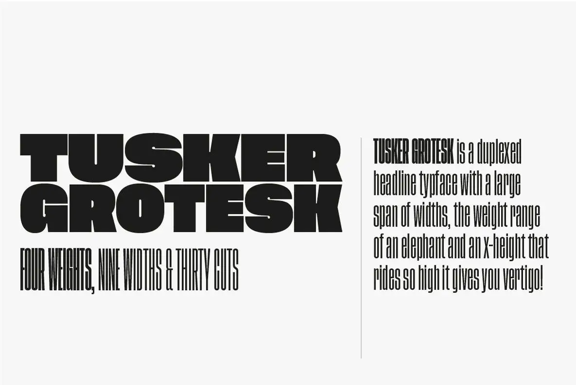 Tusker Grotesk Font - YouWorkForThem