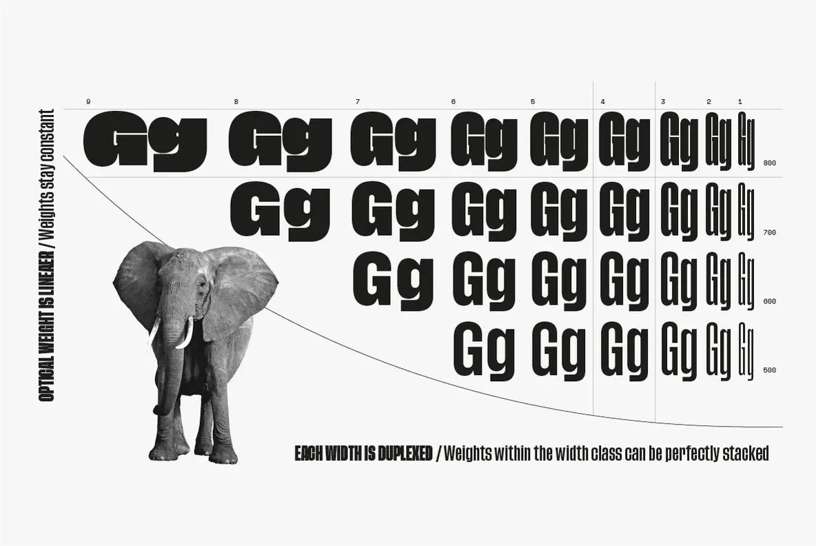 Tusker Grotesk Font - FontPath