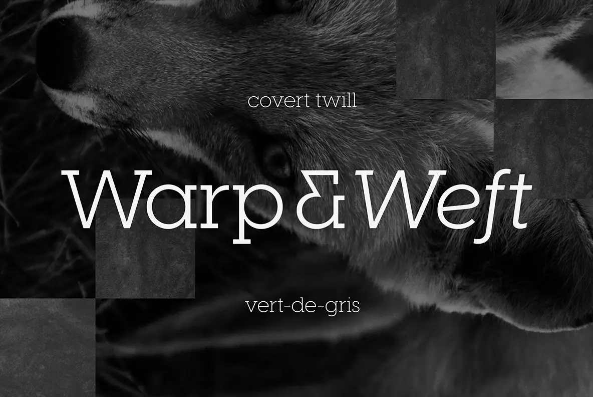 Visby Slab CF Font - FontPath