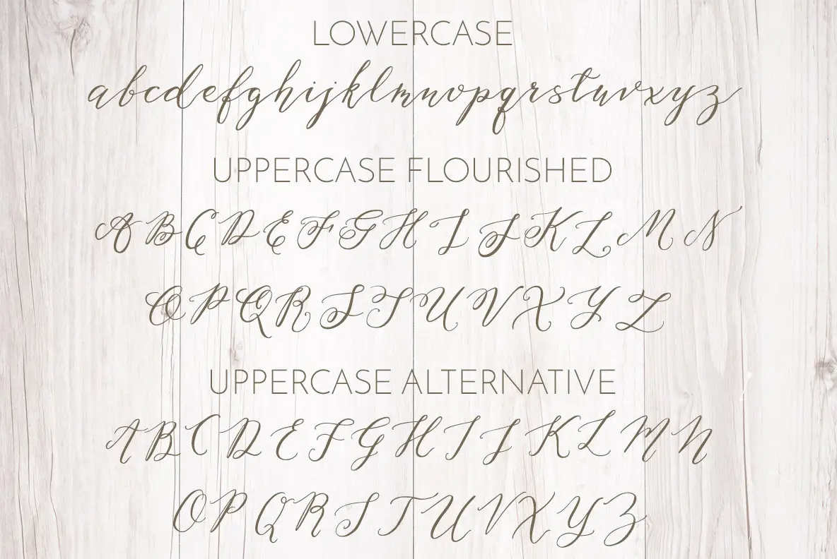 Serenity Olivia Script Font - YouWorkForThem