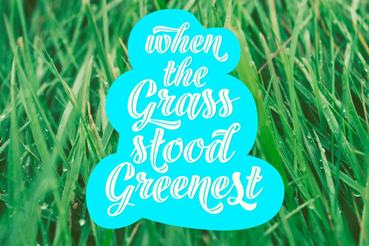 Black Script Font - FontPath