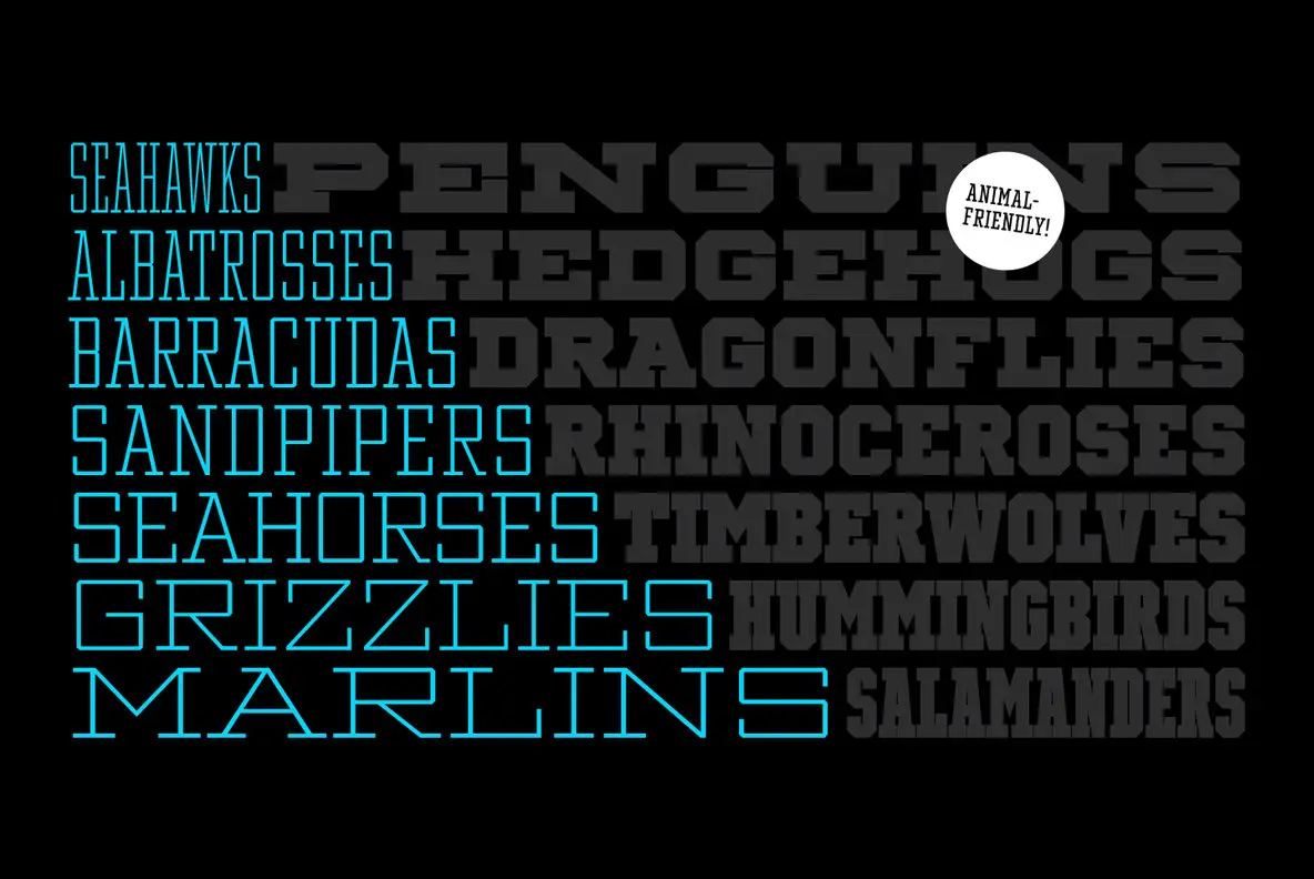 Winner Font - YouWorkForThem