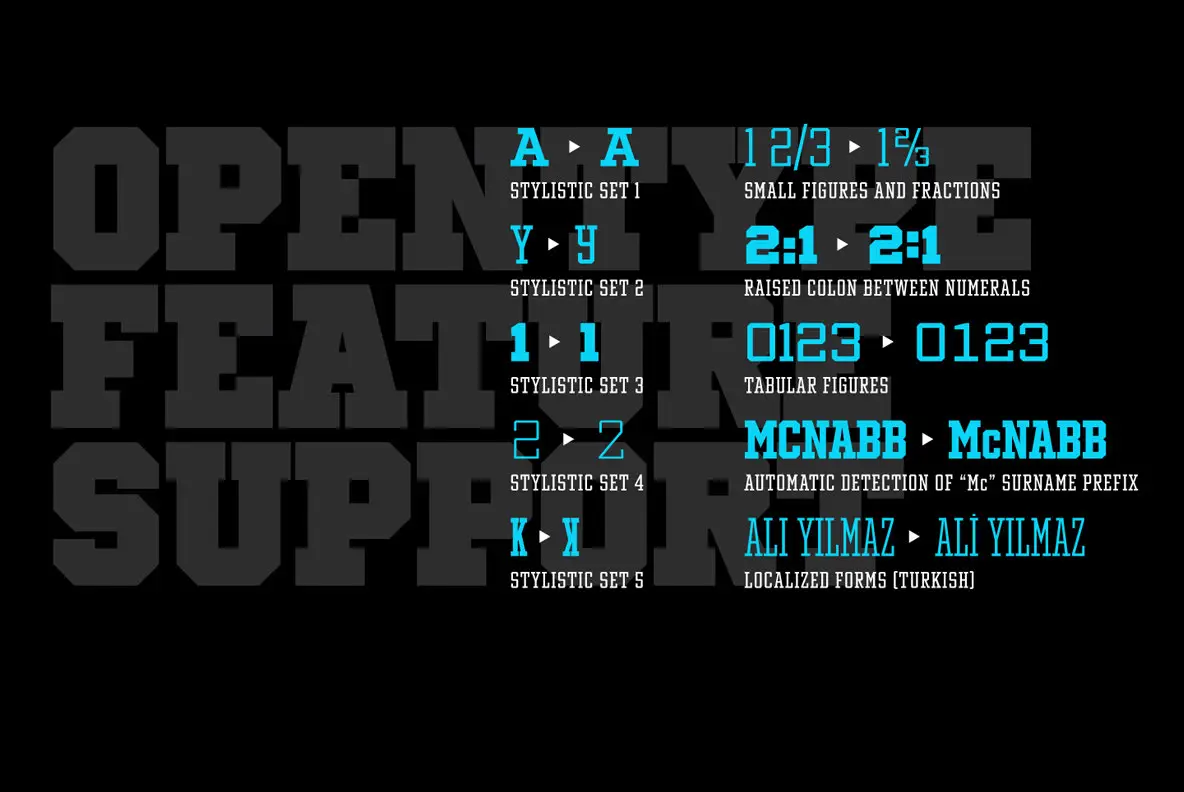 Winner Font - FontPath