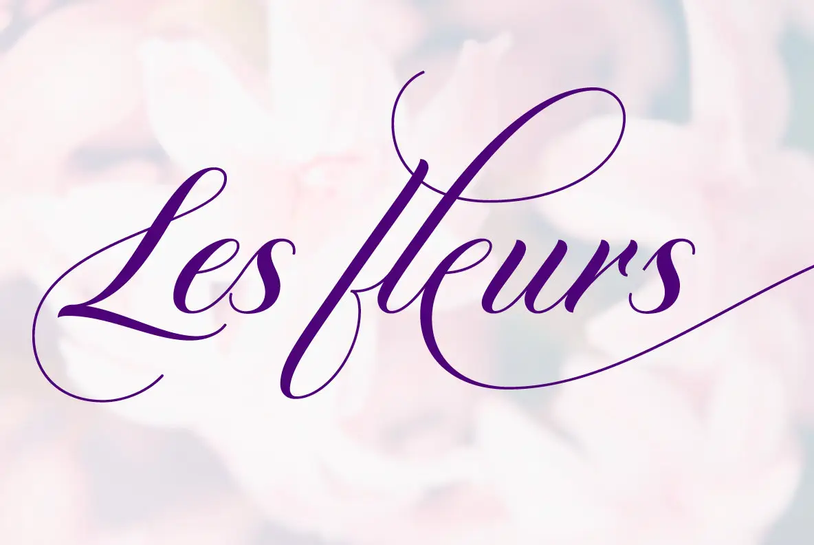 Diploma Script Font - FontPath