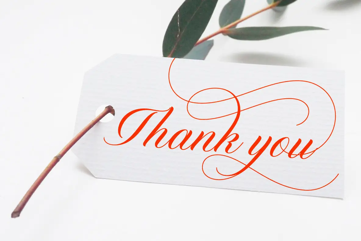 Diploma Script Font - FontPath