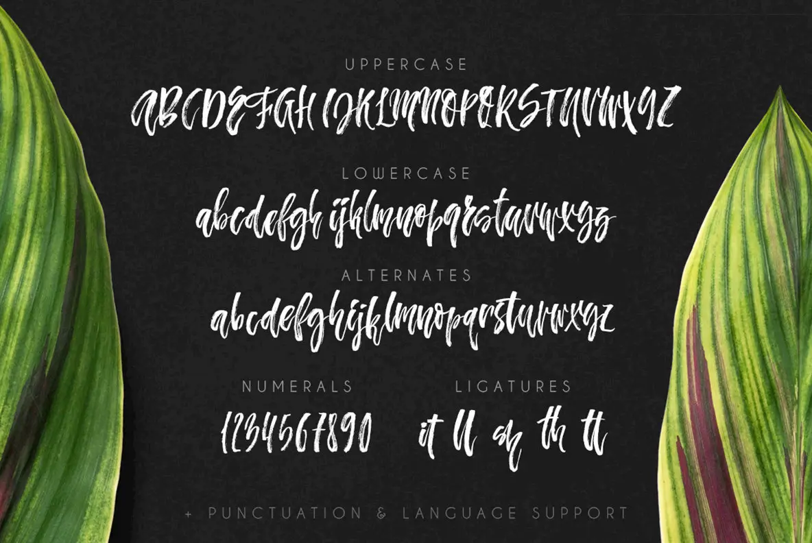 Kaleido Font - FontPath