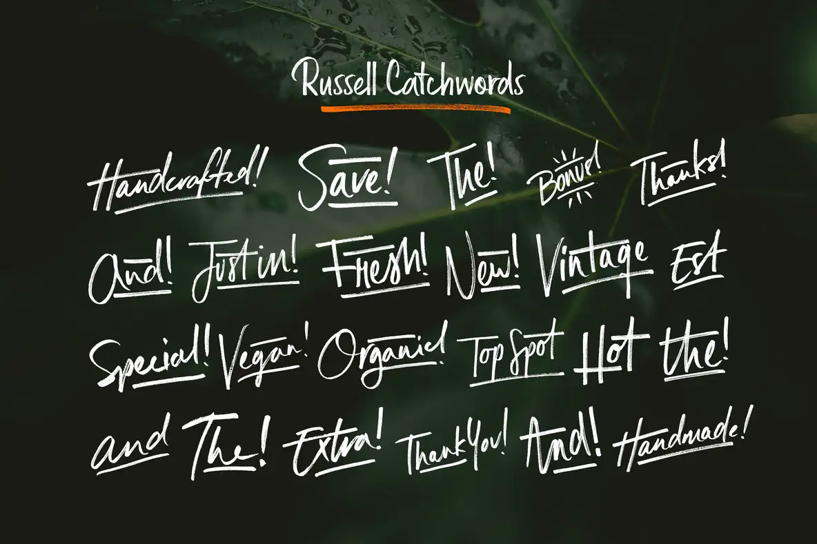 Russell Brush Script Font - YouWorkForThem Russell Brush Script Font - YouWorkForThem