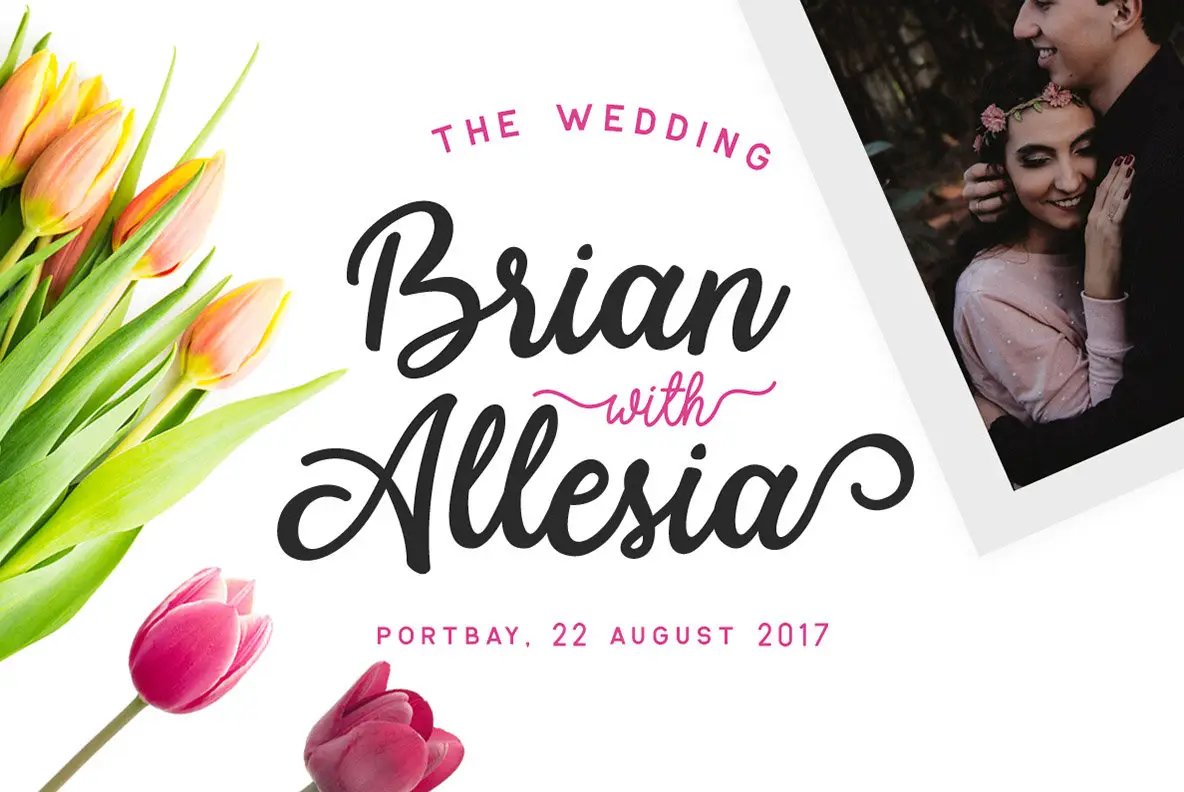 Modesta Script Font - YouWorkForThem