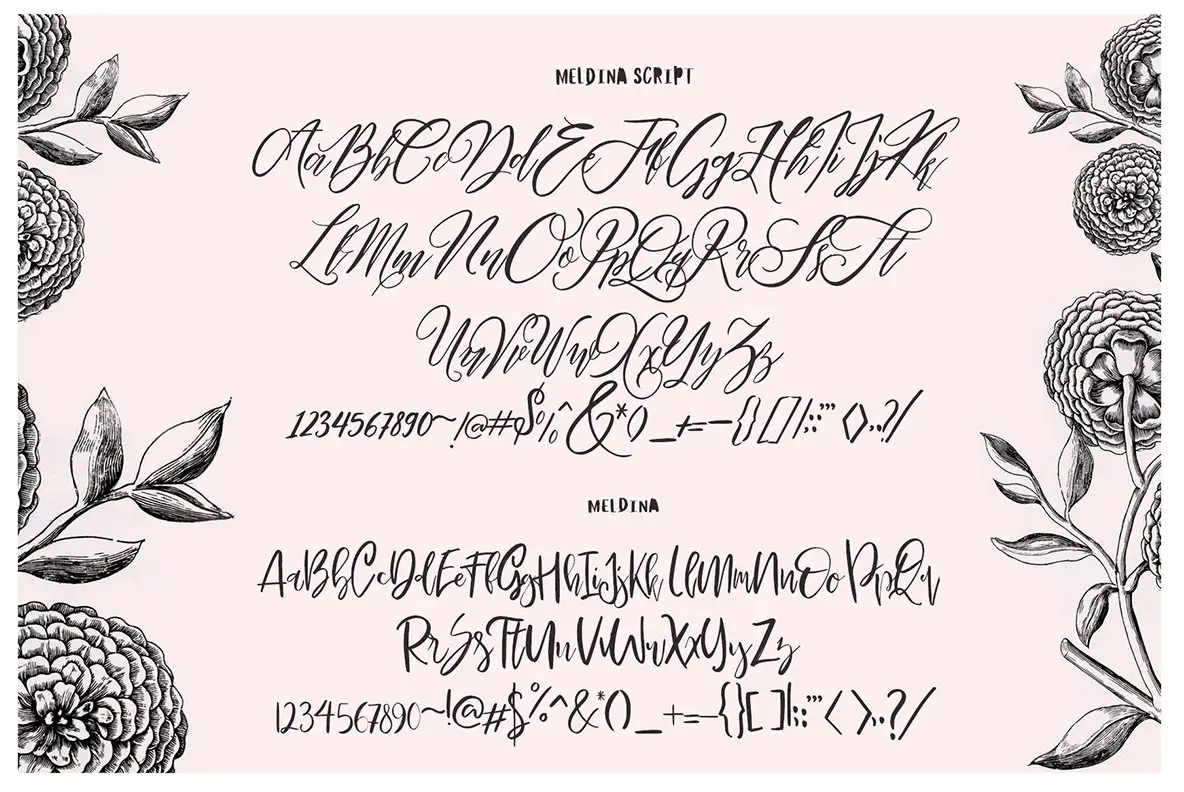 Maldina Feminime Font - YouWorkForThem