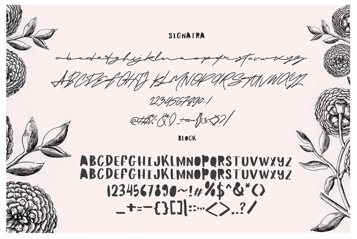 Maldina Feminime Font - YouWorkForThem