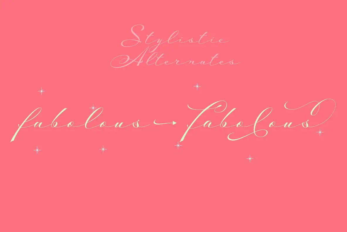 Mina Chic Font - YouWorkForThem